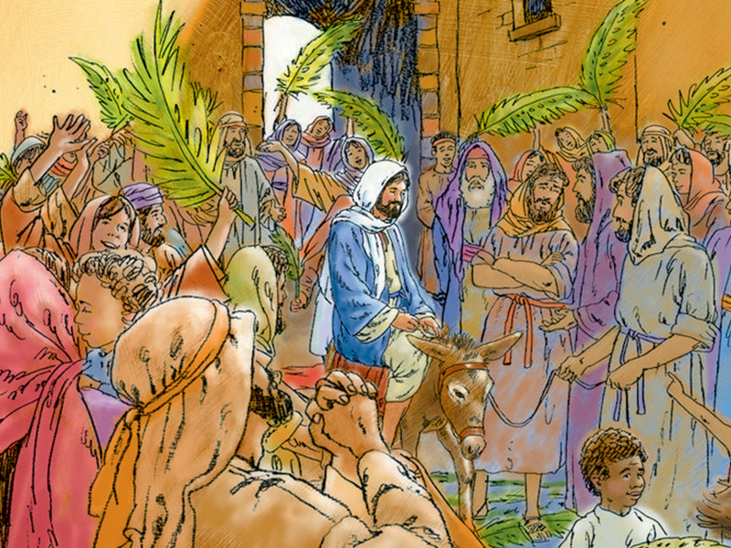 New Testament Stories - Lockman Foundation